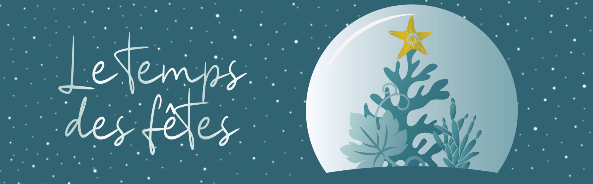 Lancement du temps des fêtes - Frontignan la Peyrade